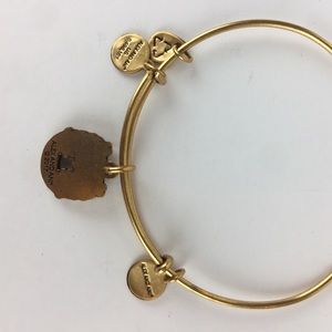 Alex and Ani | Jewelry | Alex And Ani Bangle Bracelet Rafaelian Gold Finish | Poshmark